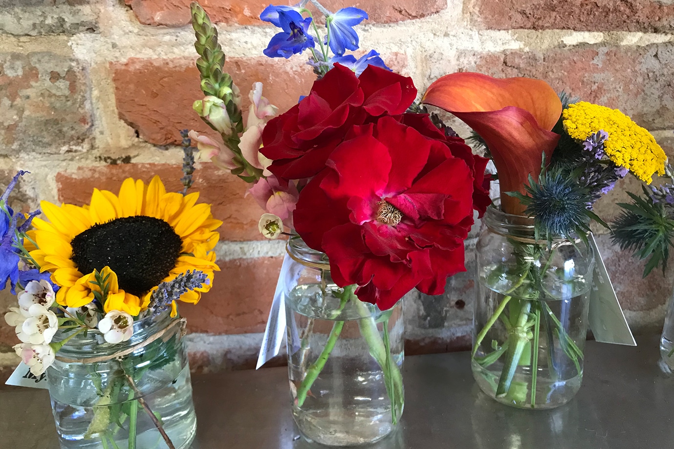 To Say Goodbye - Lily and Myrtle