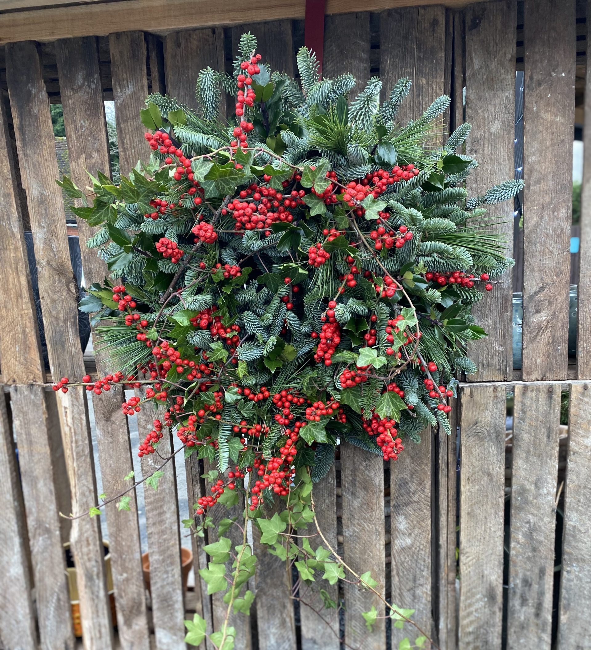 Holly and Ivy Wreath - Lily and Myrtle